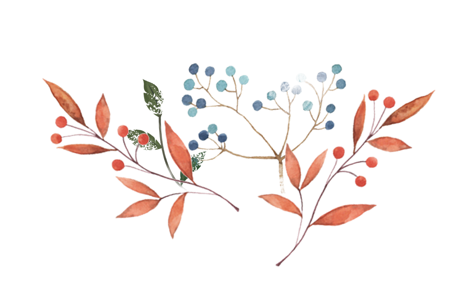 SHREDLY | Mountain Bike and Outdoor Apparel for Women in Multiple ...